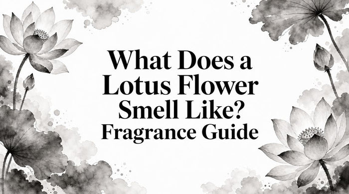 What Does a Lotus Flower Smell Like? Fragrance Guide – Decant Sample